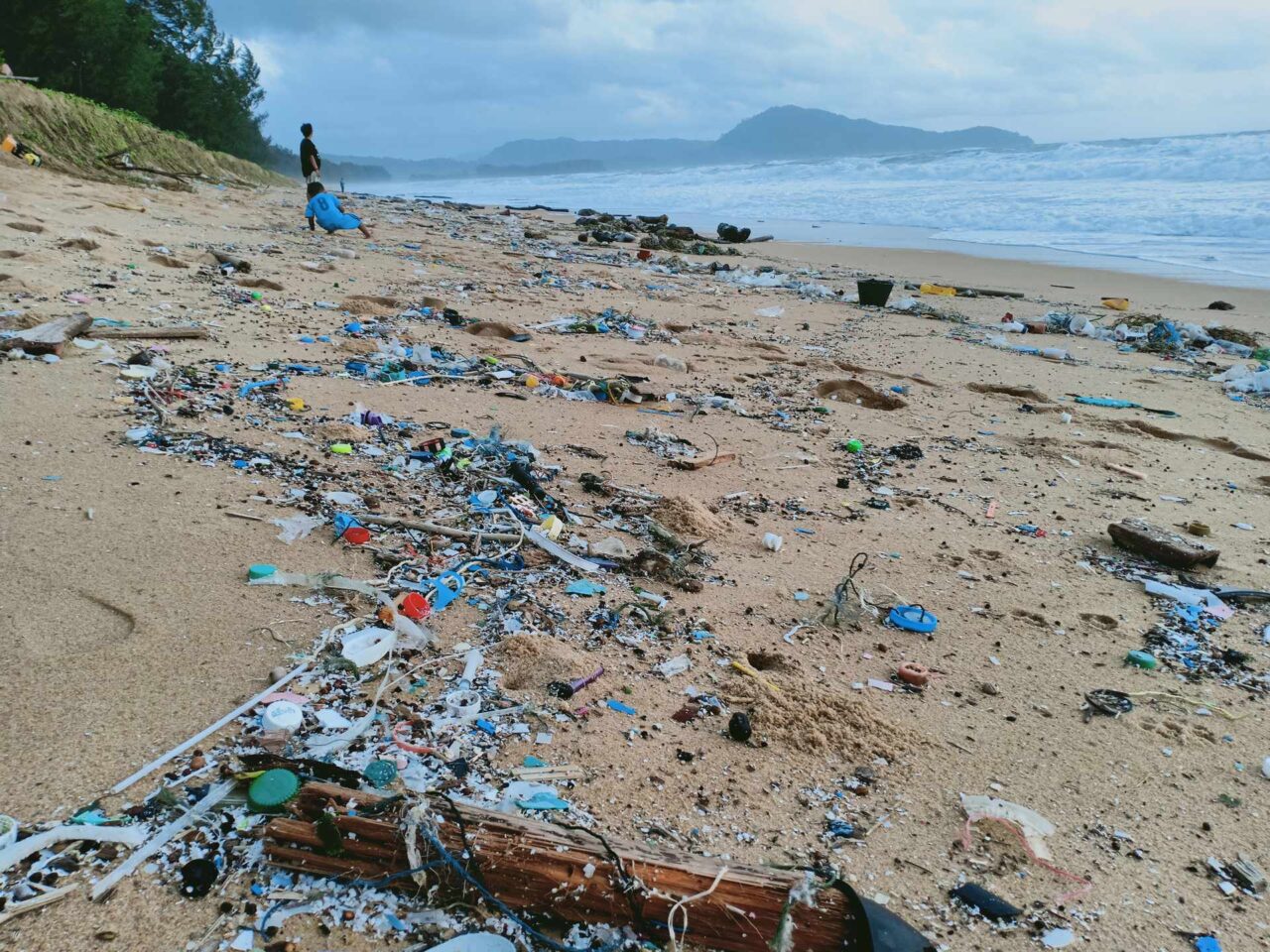 Plastic Reduction Campaigns in Phuket | Reduce your plastic consumption